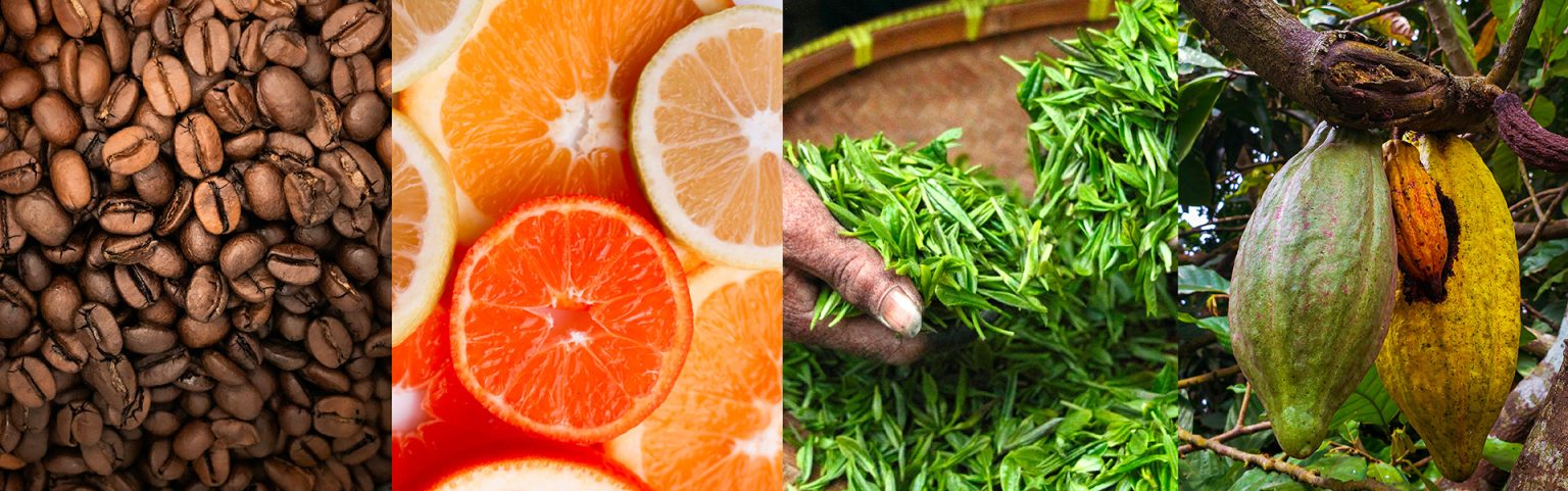 PHA Filament – 3D PRINTING